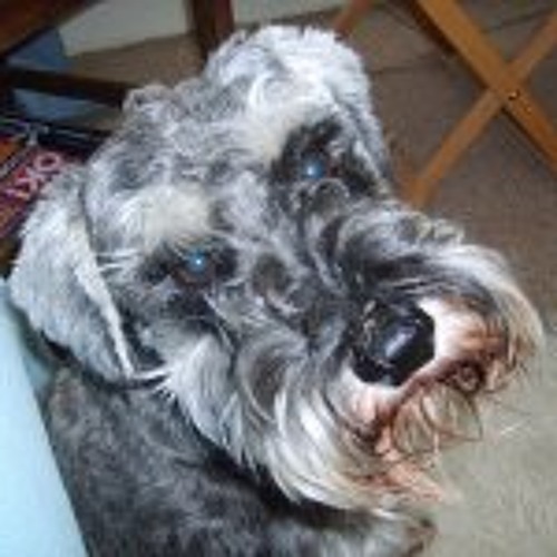 Stream Debbie Key music | Listen to songs, albums, playlists for free ...