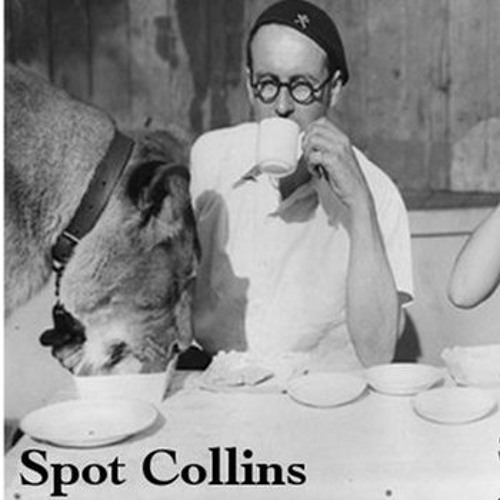 Stream Spot Collins music | Listen to songs, albums, playlists for free ...