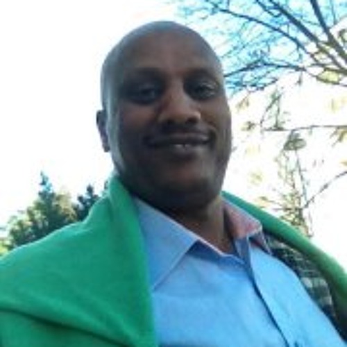 Stream Mehari Abraham music | Listen to songs, albums, playlists for ...