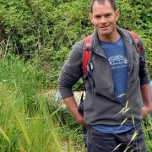 Stream Shai Navot music | Listen to songs, albums, playlists for free ...