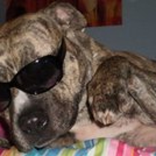 Stream Megan Shafer 1 music | Listen to songs, albums, playlists for ...