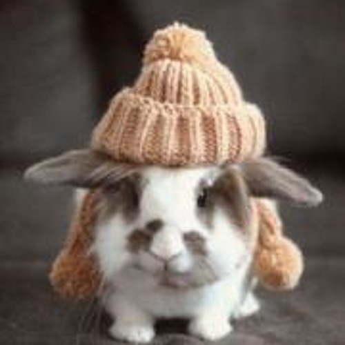 Stream Nico Summer Surf music | Listen to songs, albums, playlists for ...