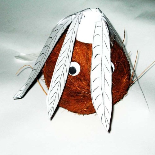 Stream Coconut Radio music | Listen to songs, albums, playlists for ...