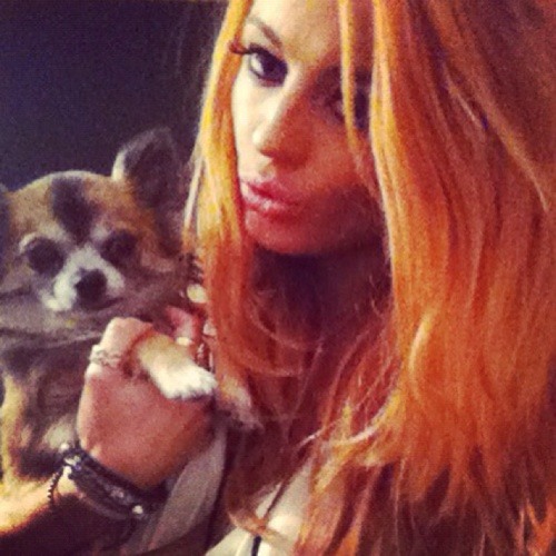 Stream lbunney music | Listen to songs, albums, playlists for free on ...