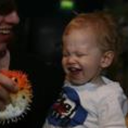 Stream stu music | Listen to songs, albums, playlists for free on ...