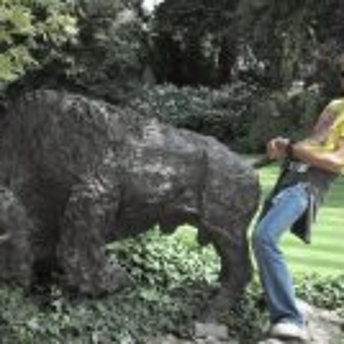 Stream Kim Akkermans music | Listen to songs, albums, playlists for ...