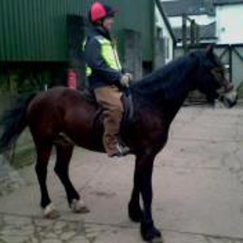 Stream Alison Dite music | Listen to songs, albums, playlists for free ...