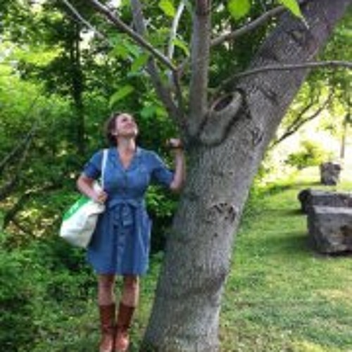 Stream Laura Shatkus music | Listen to songs, albums, playlists for ...