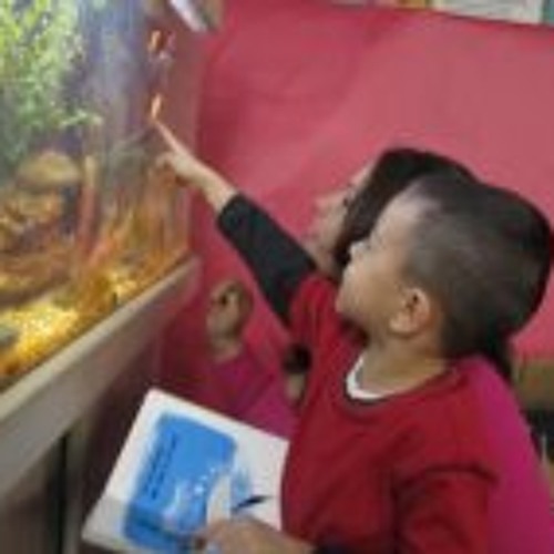 Stream Ana Fabiola Robles Durazo music | Listen to songs, albums ...