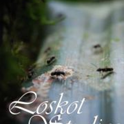 Stream Jamil Loskot-studios music | Listen to songs, albums, playlists ...