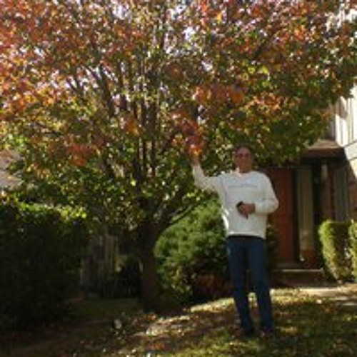 Stream Ian Harries music | Listen to songs, albums, playlists for free ...