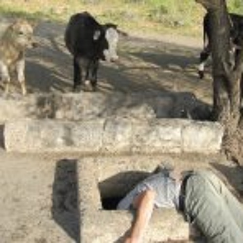 Stream Yaniv Mazor 1 music | Listen to songs, albums, playlists for ...