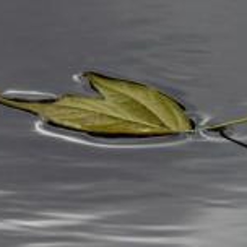 Stream Analía Sánchez Plaza music | Listen to songs, albums, playlists ...