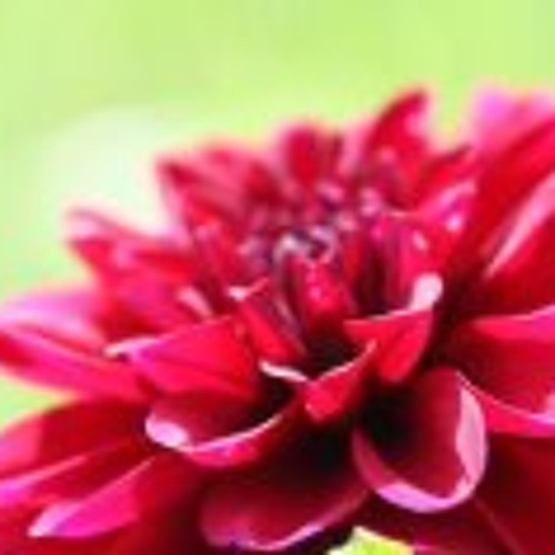 Stream Julie German music | Listen to songs, albums, playlists for free ...