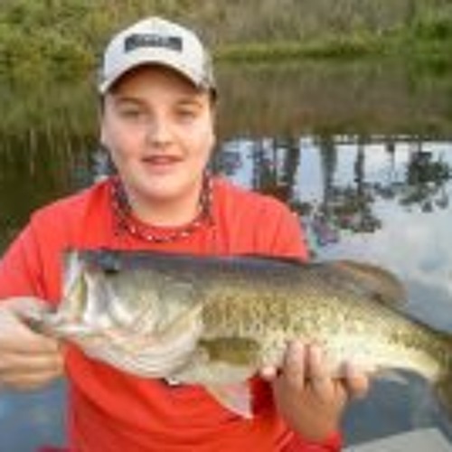 Stream Colin SwampFox Hendricks music | Listen to songs, albums ...