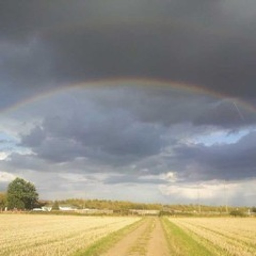 Stream Delta Serpentis by Serpent_Sigma | Listen online for free on ...