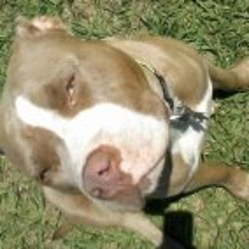 Stream Angela Rucker music | Listen to songs, albums, playlists for ...