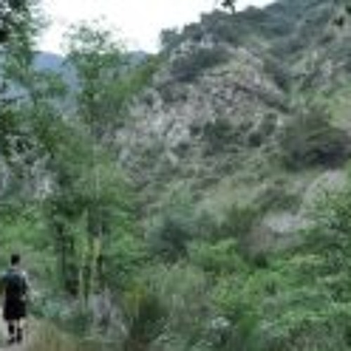 Stream Daniel Louis Adams music | Listen to songs, albums, playlists ...