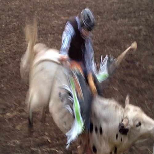 Stream bull~rider music | Listen to songs, albums, playlists for free ...