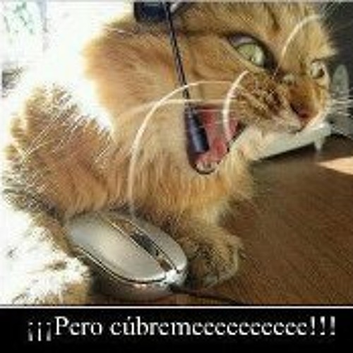 Stream Wilson Tamayo music | Listen to songs, albums, playlists for ...