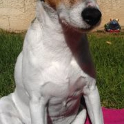 Stream Jessica Eileen Magdaleno music | Listen to songs, albums ...