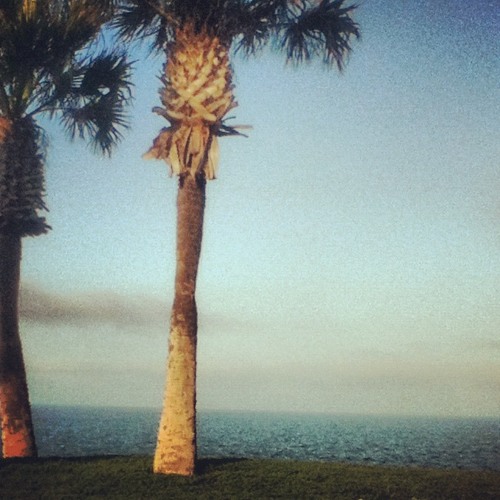 Stream Stealth Mode Records music | Listen to songs, albums, playlists ...