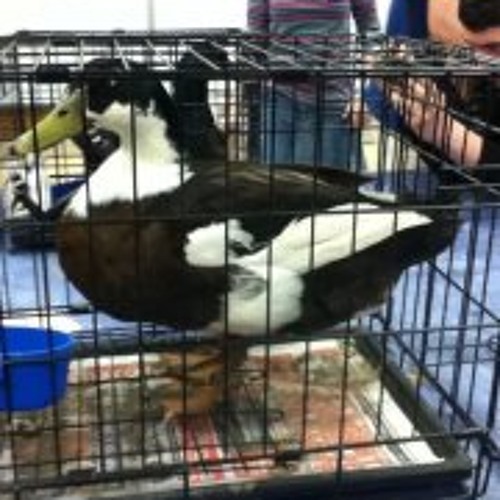 Stream Garrett Wiese music | Listen to songs, albums, playlists for ...