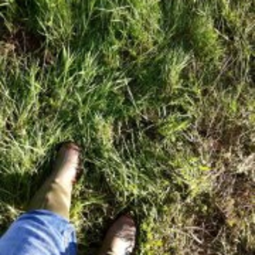 Stream Julie-Ann Paddock music | Listen to songs, albums, playlists for ...