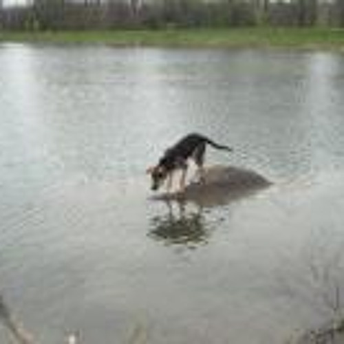 Stream Cameron Dunning music | Listen to songs, albums, playlists for ...