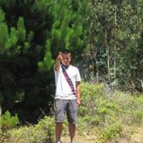 Stream zebastien bourdaiS music | Listen to songs, albums, playlists ...