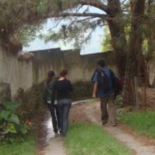 Stream Sebastian Rengifo music | Listen to songs, albums, playlists for ...