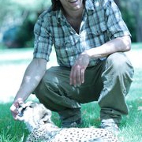 Stream Shane Armstrong 4 music | Listen to songs, albums, playlists for ...