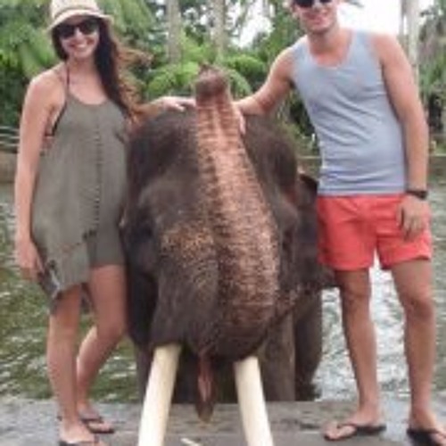 Stream Sezzlelou music | Listen to songs, albums, playlists for free on ...