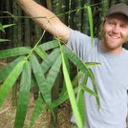 Stream Ethan Zander music | Listen to songs, albums, playlists for free ...