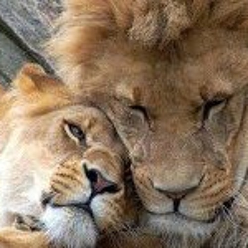 Stream Urnesto Urni Ili Urn music | Listen to songs, albums, playlists for free on SoundCloud