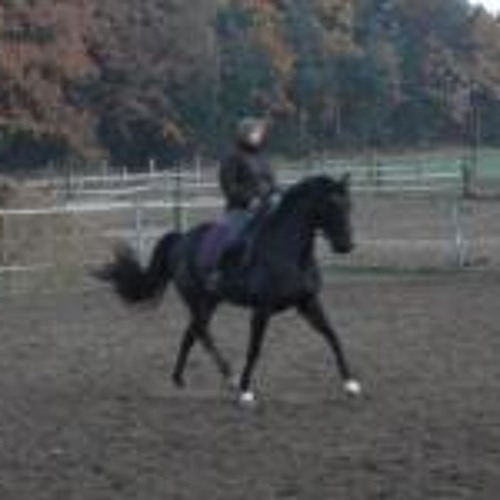 Stream Corinna Ott music | Listen to songs, albums, playlists for free ...