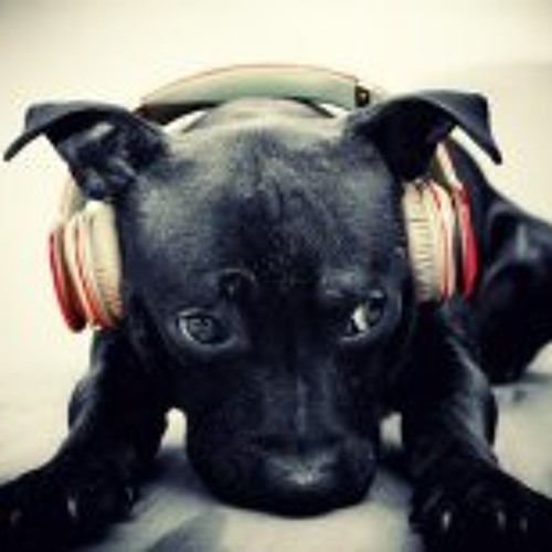 Stream kay kraus music | Listen to songs, albums, playlists for free on ...