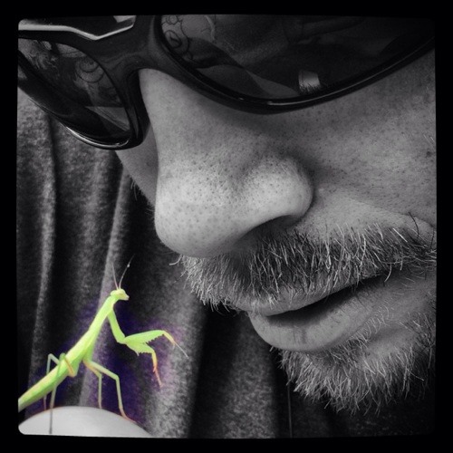 Stream :Stack: music | Listen to songs, albums, playlists for free on ...