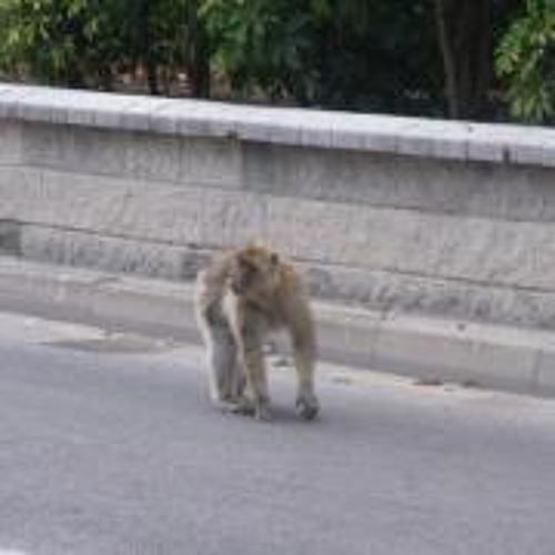 Stream Matthew Borg music | Listen to songs, albums, playlists for free ...