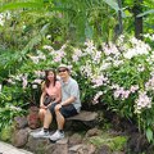 Stream Nyonyo Zin music | Listen to songs, albums, playlists for free ... Stream Nyonyo Zin music | Listen to songs, albums, playlists for free ...