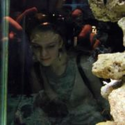 Stream Catherine Claessens music | Listen to songs, albums, playlists ...