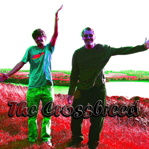 Stream THE CROSSBREED music | Listen to songs, albums, playlists for ...