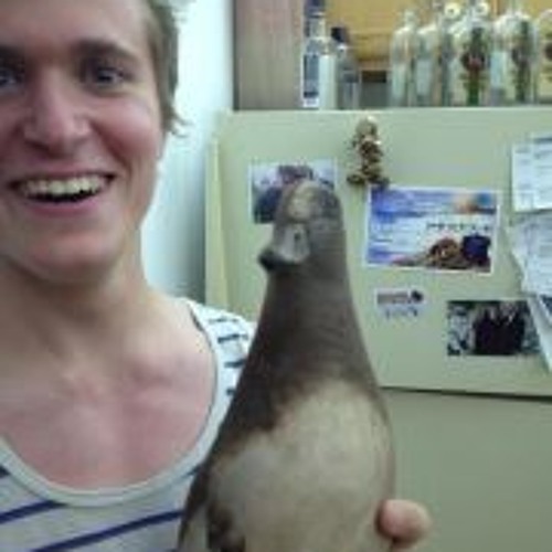 Stream Matthew Nottingham music | Listen to songs, albums, playlists ...