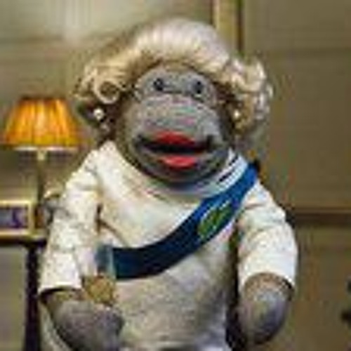 Stream Penny Rolfe music | Listen to songs, albums, playlists for free ...