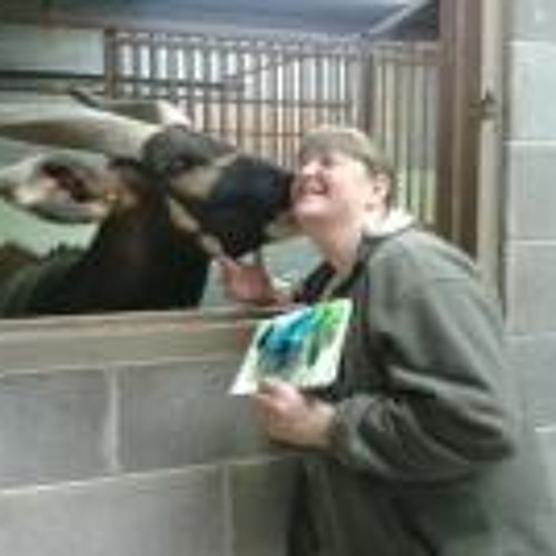 Stream Shari Komloski Garrison music | Listen to songs, albums ...