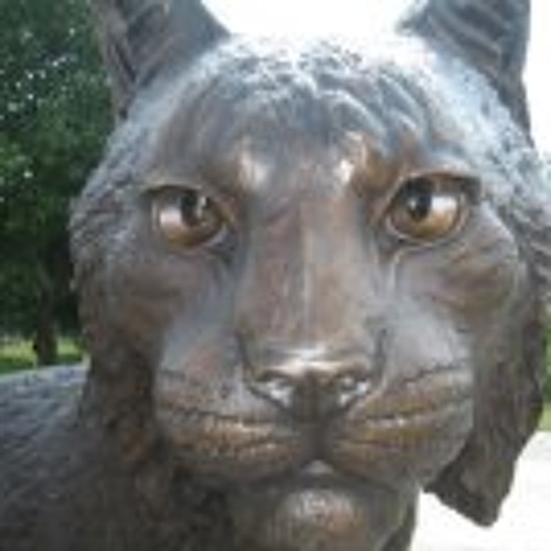 Stream Robert Zai III music | Listen to songs, albums, playlists for ...