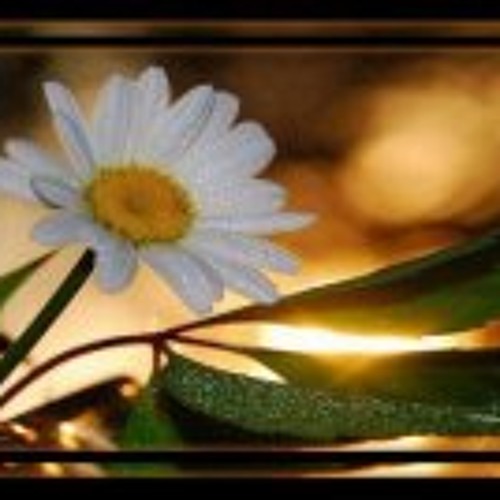 Stream Bonnie Davis Ross music | Listen to songs, albums, playlists for ...