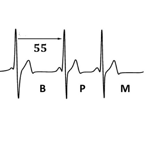 Stream 55 BPM music | Listen to songs, albums, playlists for free on ...