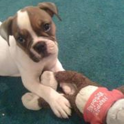 Stream Maria Nichols music | Listen to songs, albums, playlists for ...