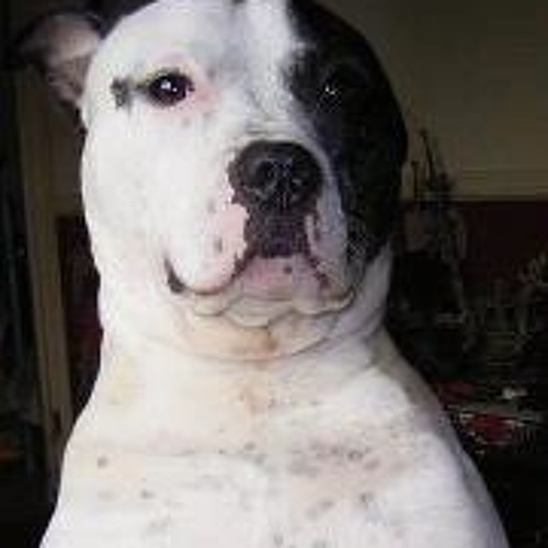 Stream Scrap Man music | Listen to songs, albums, playlists for free on ...